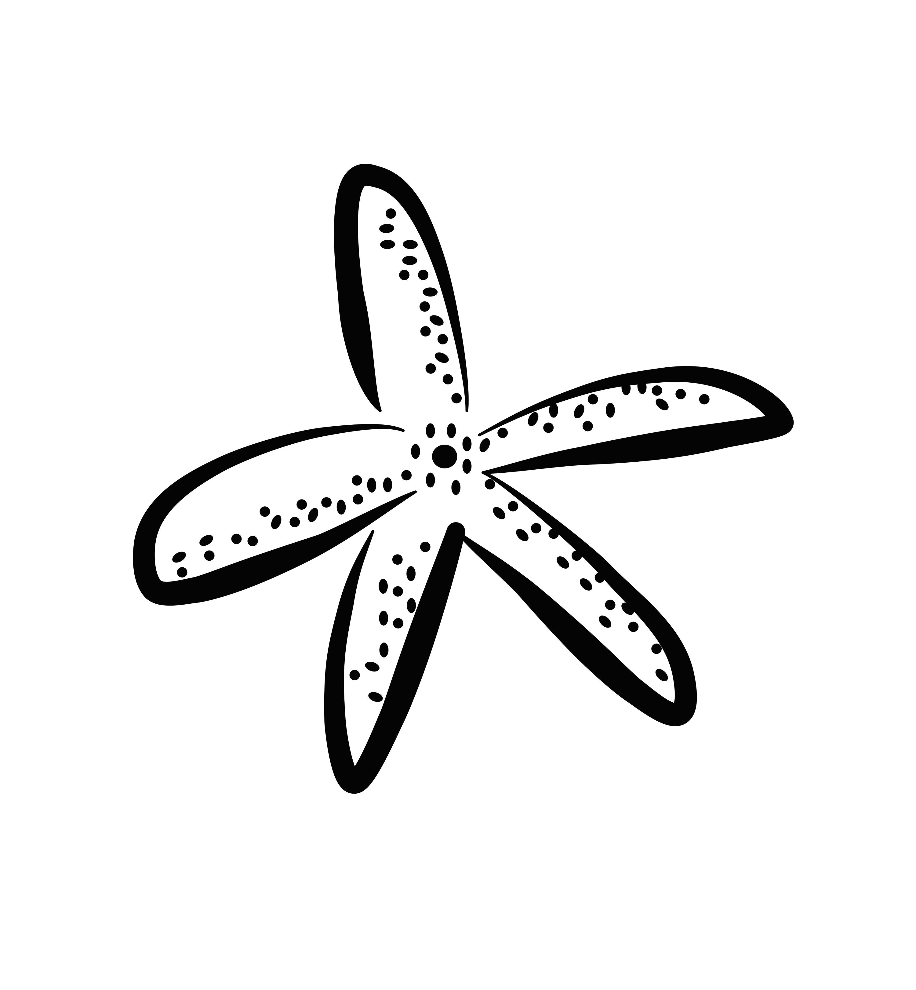 Latina Beach Bundle Collection – Eco-Friendly Surf Essentials